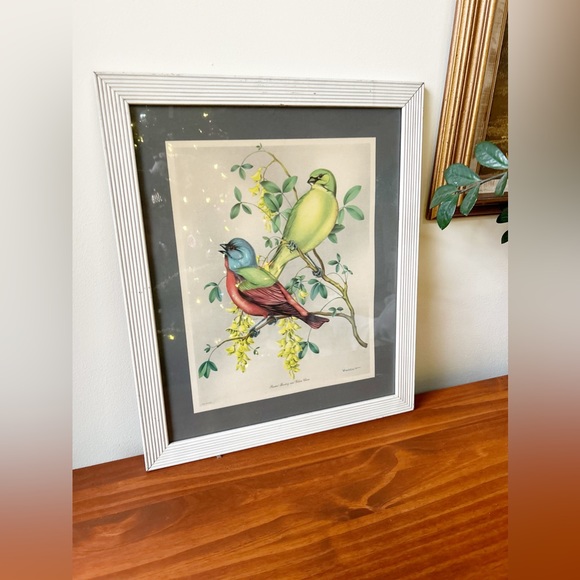 Vintage | Accents | Vintage Framed Bird Wall Print Decor | Poshmark